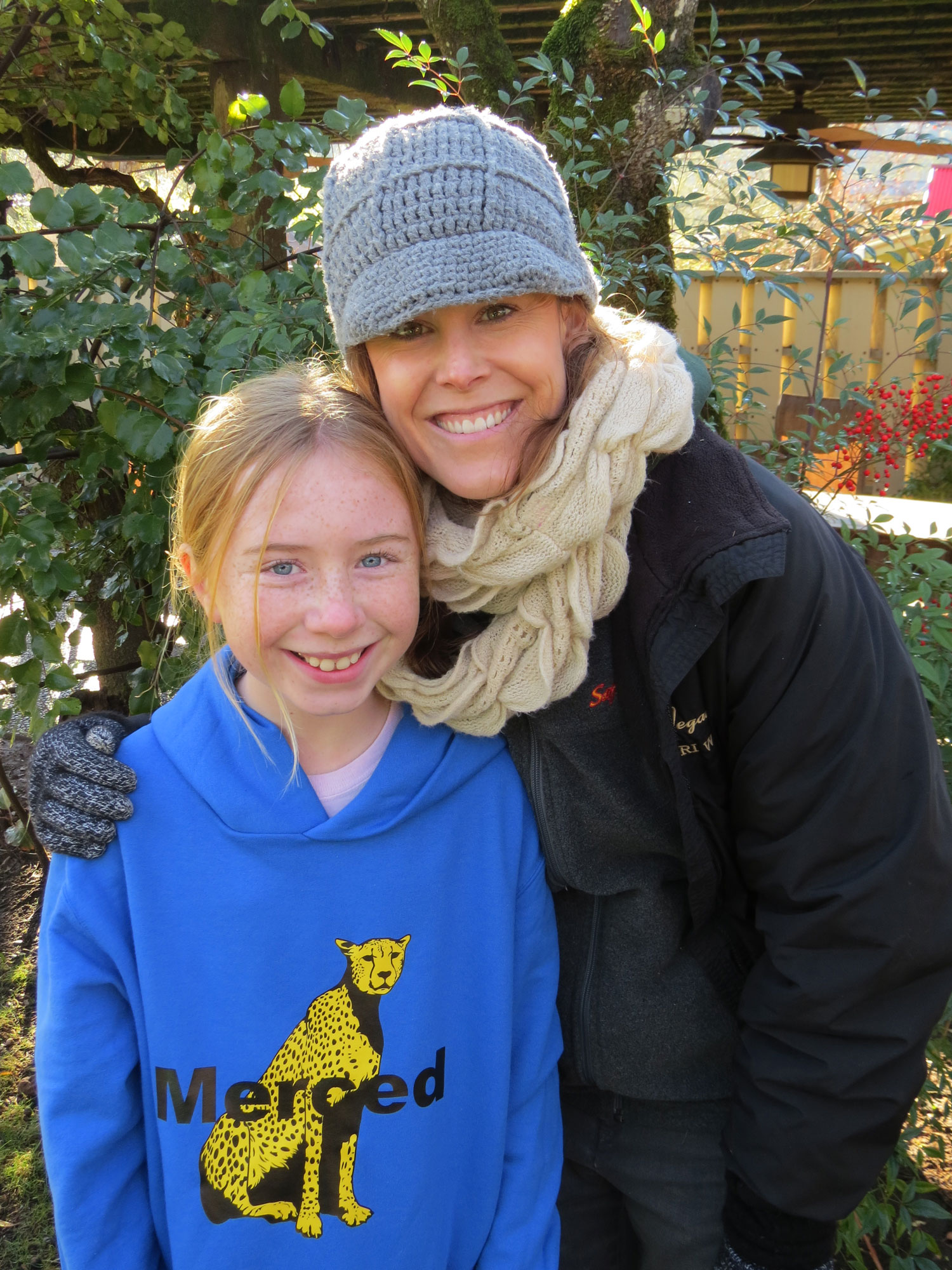 Cheetah Hero Merced - Safari West